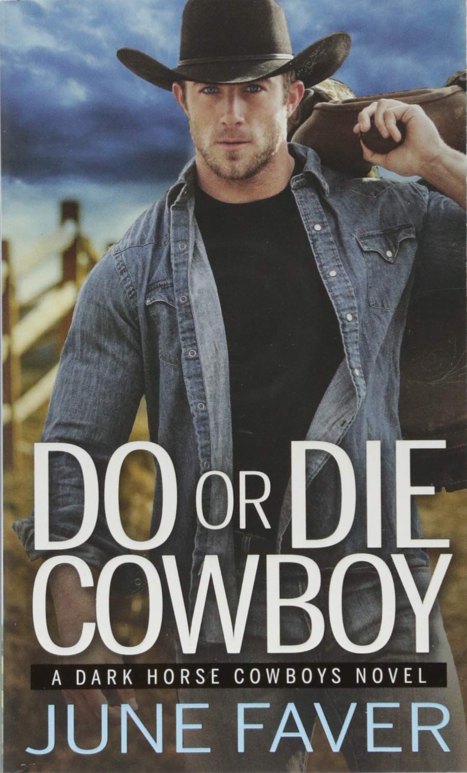 DO OR DIE COWBOY by June Faver | Stacy Alesi's BookBitch.com™